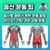 등산을 잘하기 위한 훈련 및 관리 방법유산소근력코어 강화 운동 네이버 블로그